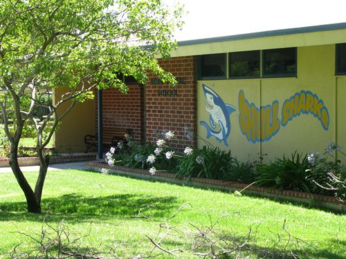 Shull Elementary School - Shull Home